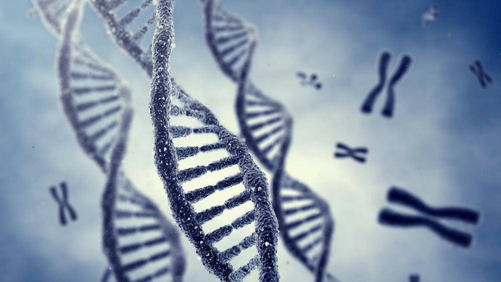 The Link Between Drug Addiction and Genetics | Drug Rehab Solutions